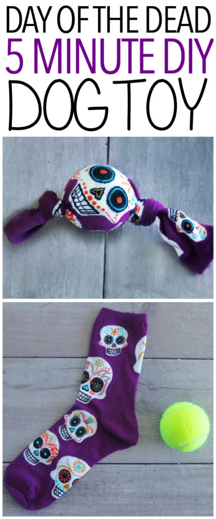 Day of The Dead 5 Minute DIY Dog Toy And BOOing Bundle