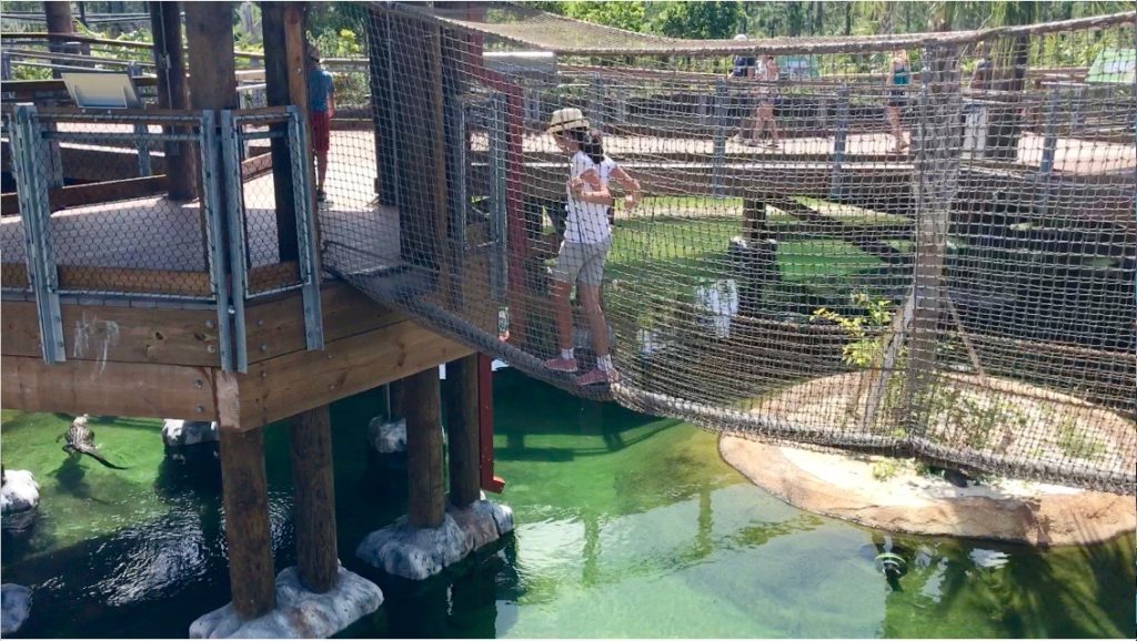 Why Visiting Zoo Miami Is A Must For Families!