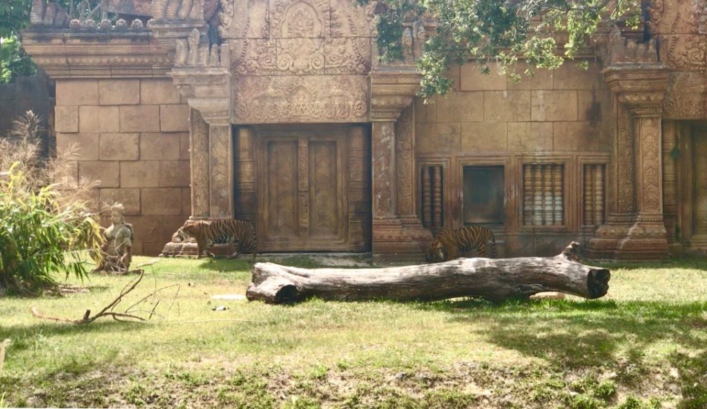 Why Visiting Zoo Miami Is A Must For Families!