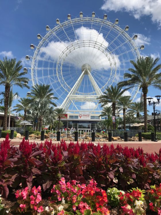 Best Things To Do In Orlando's International Drive