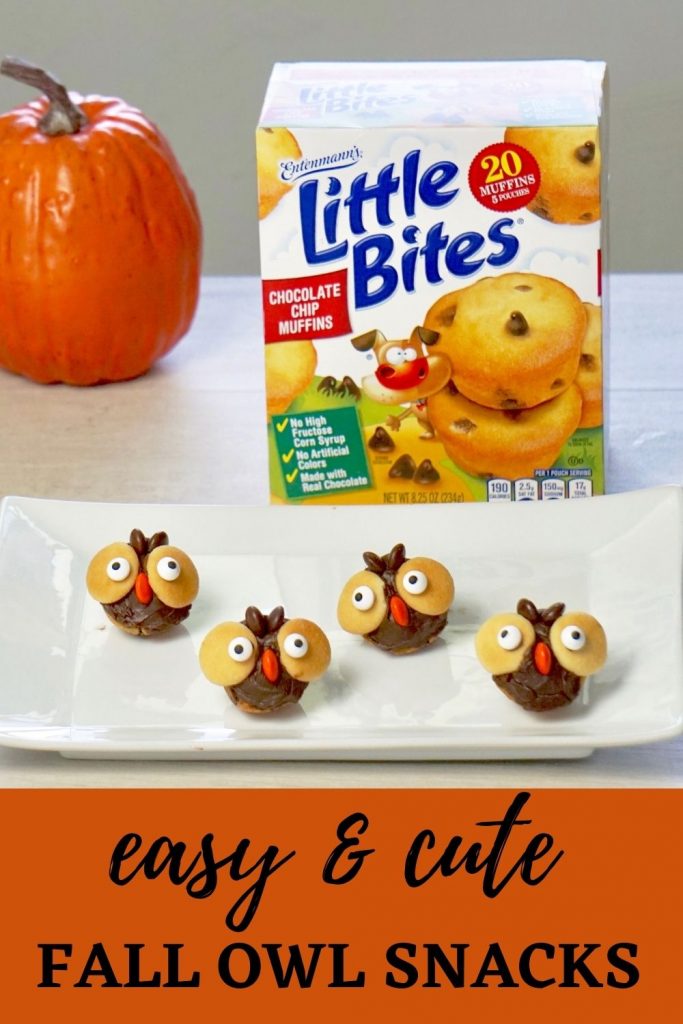 Easy to Make Cute Owl Snacks