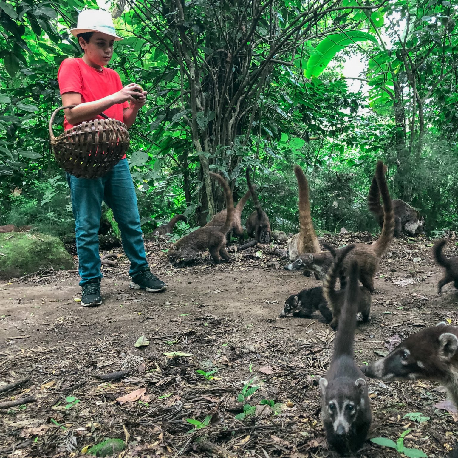 Best Things to Do in Lake Atitlan With Kids