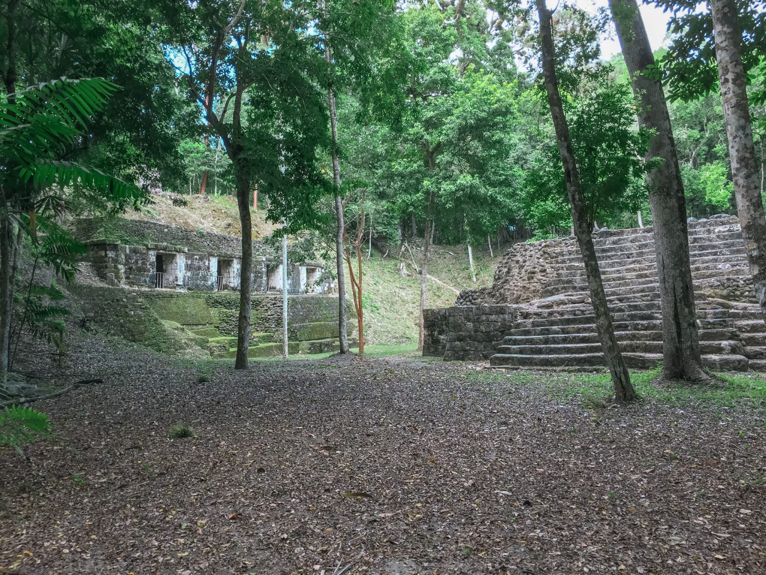 Complete Guide to Yaxha: Unique Mayan Ruins in Guatemala