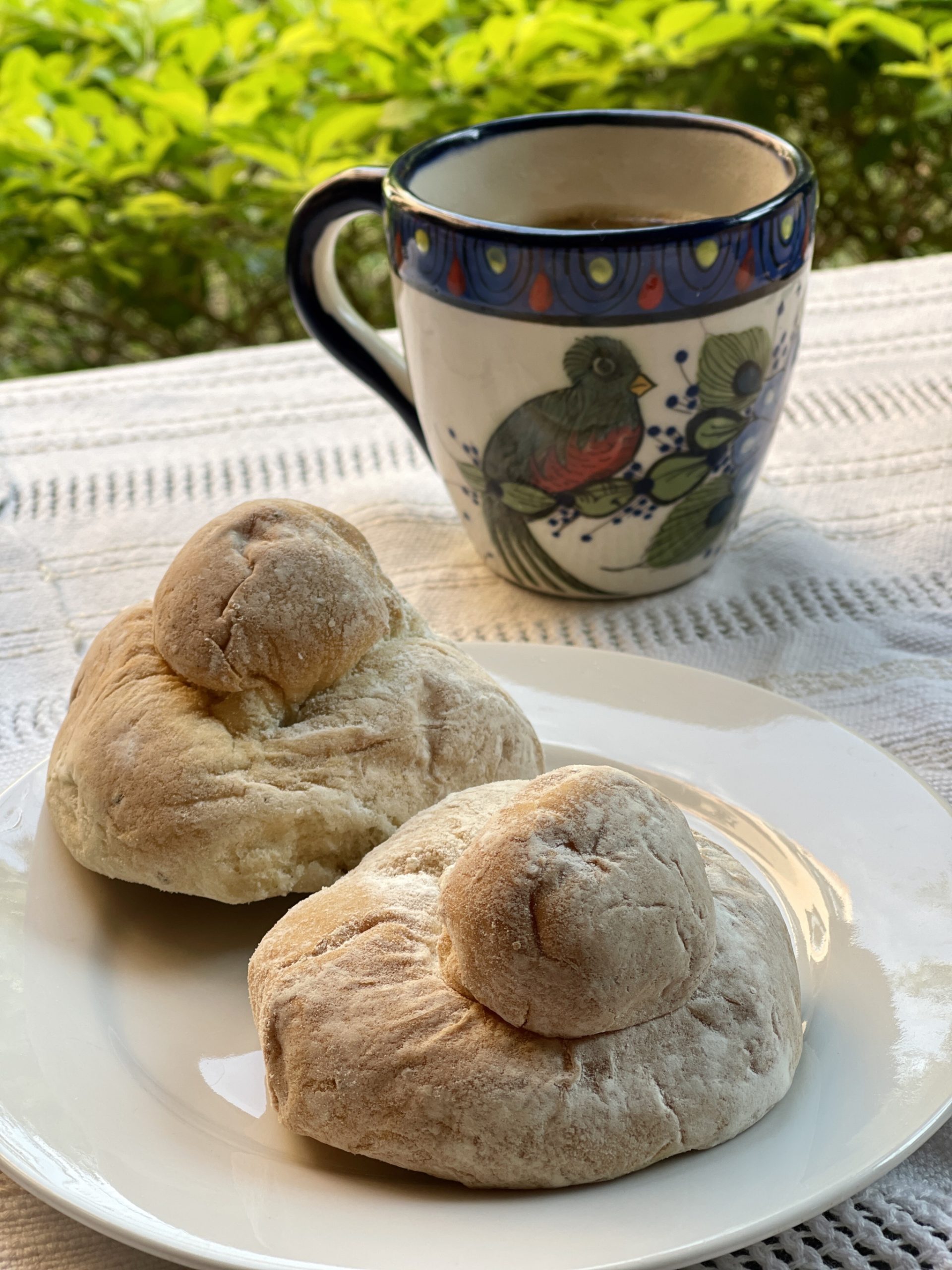 Recipe for Shecas de Guatemala