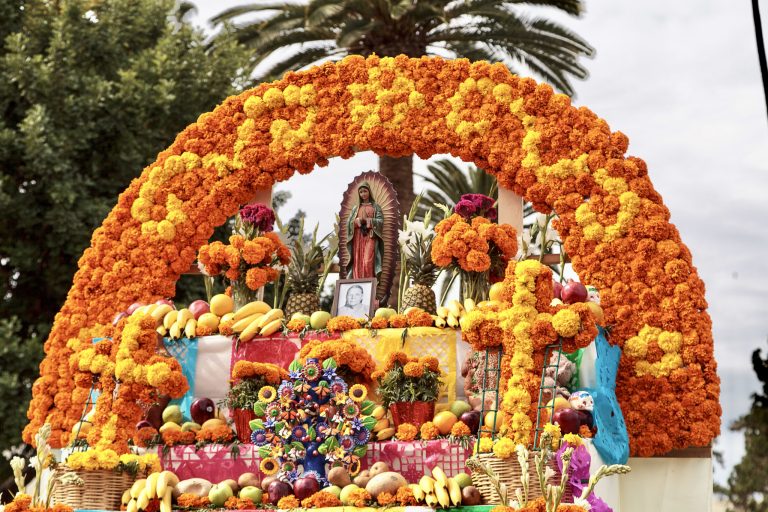 Most Popular Day of the Dead ( Dia de los Muertos) Flowers and What ...