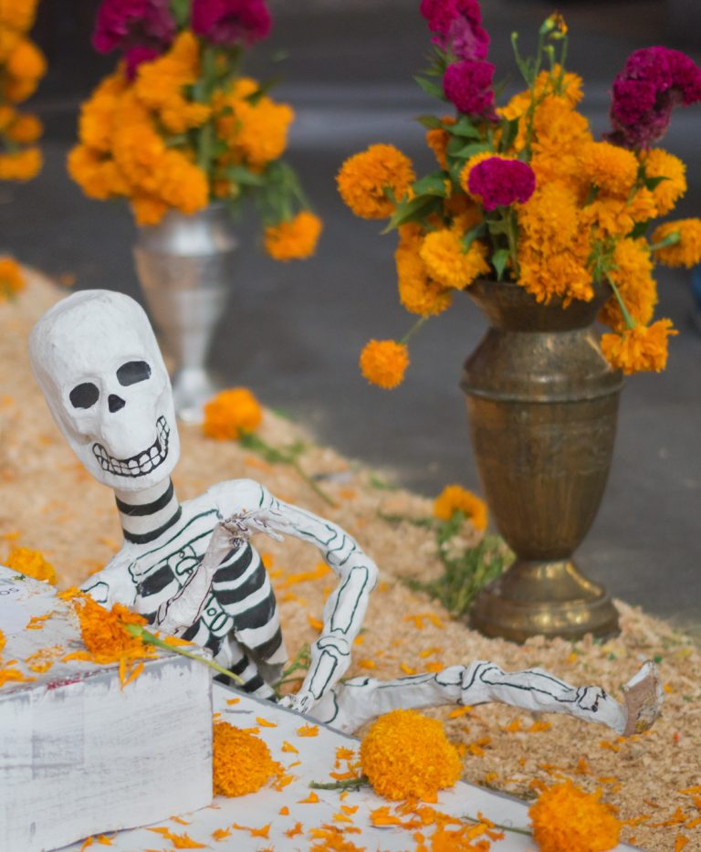 Most Popular Day of the Dead ( Dia de los Muertos) Flowers and What ...