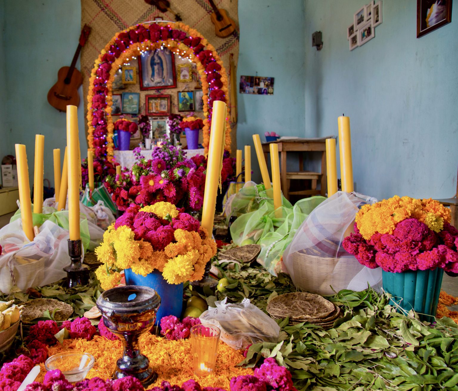 Most Popular Day of the Dead ( Dia de los Muertos) Flowers and What ...