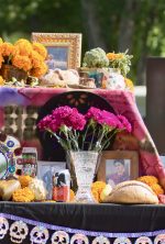 Most Popular Day of the Dead ( Dia de los Muertos) Flowers and What ...