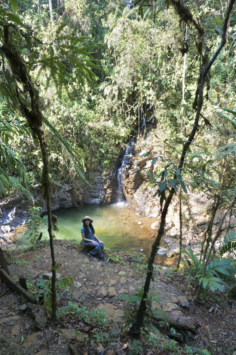 Discover Ranchitos del Quetzal: One of the Best Places to See the ...