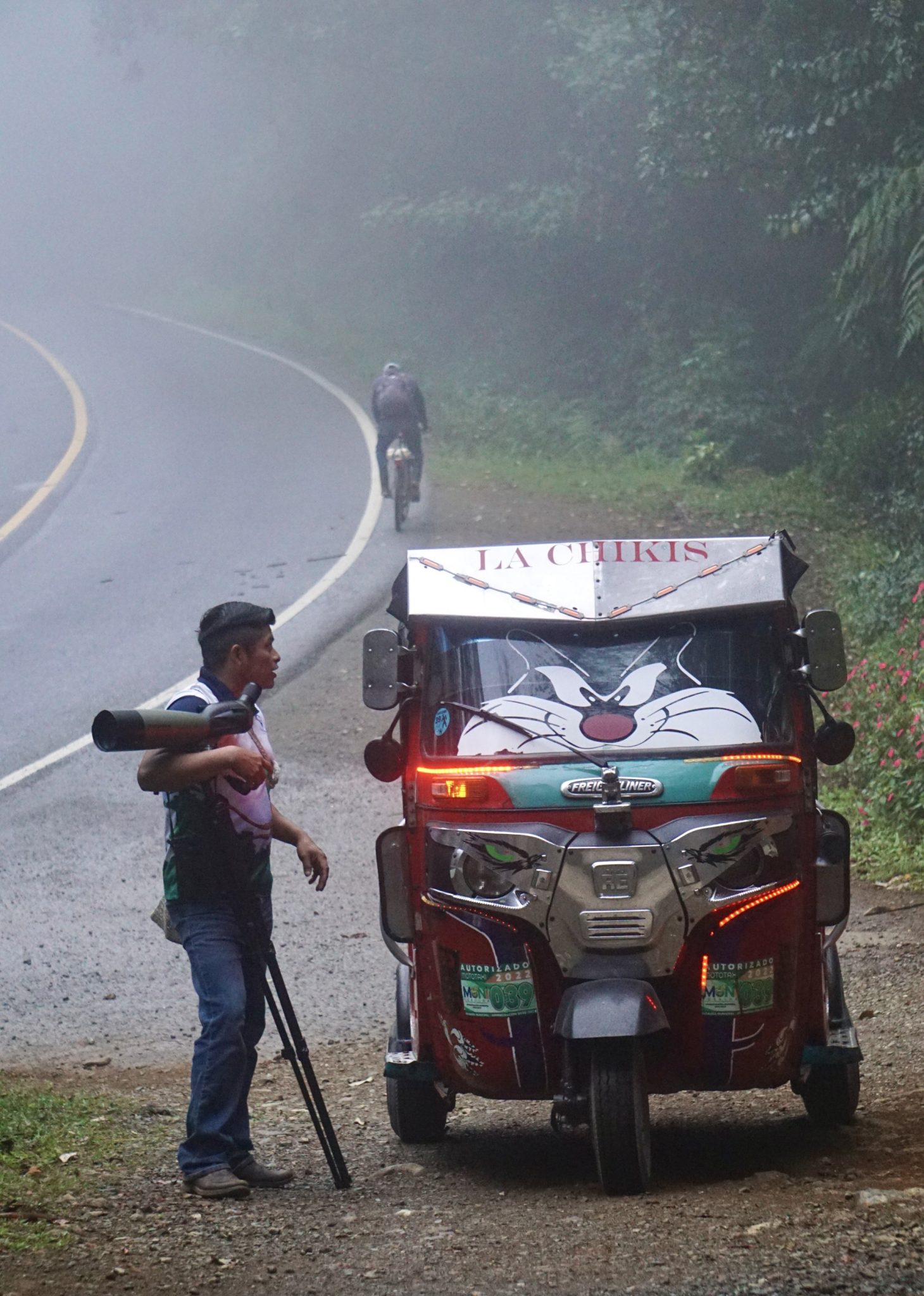 Discover Ranchitos del Quetzal: One of the Best Places to See the ...