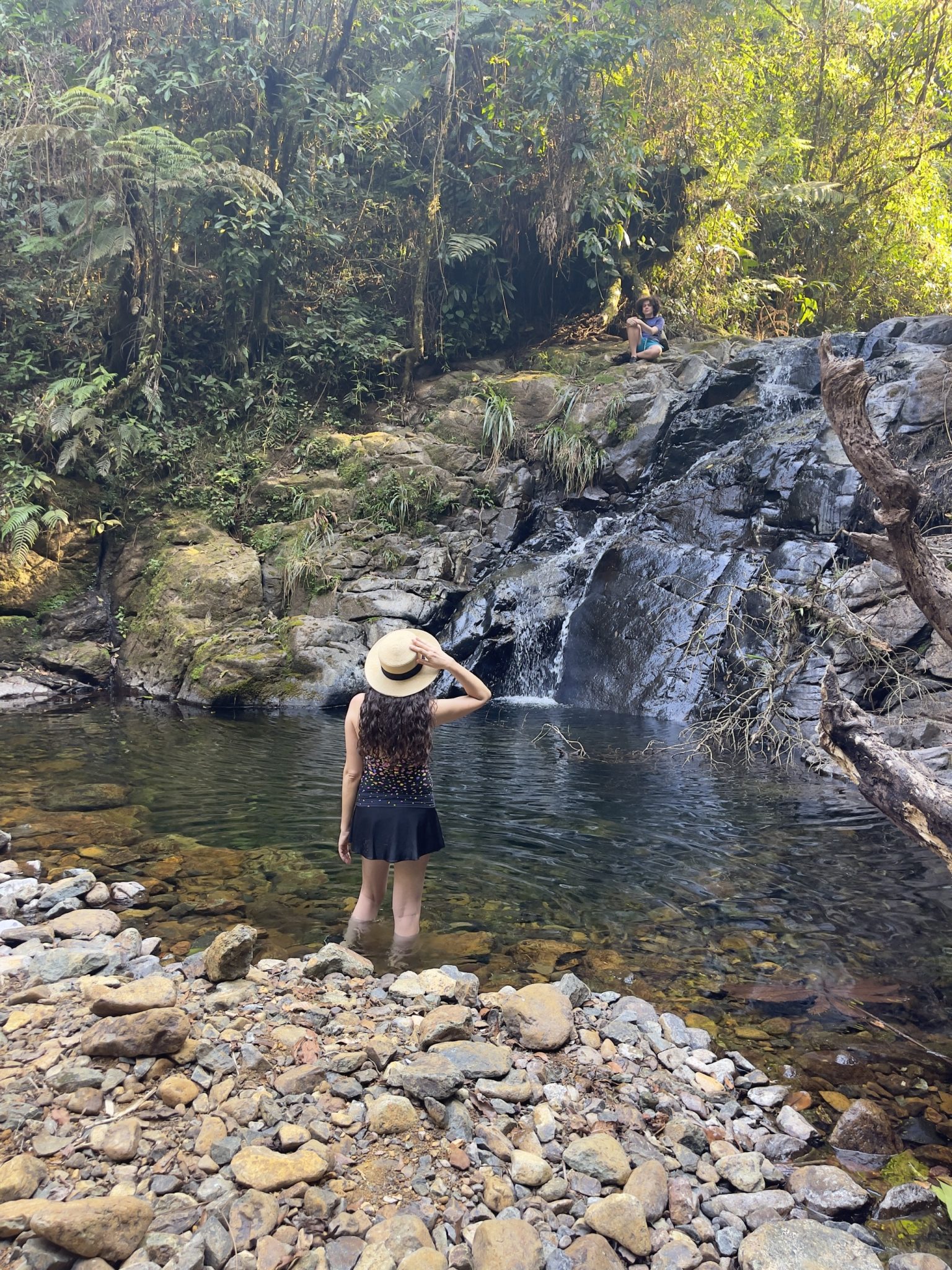 Discover Ranchitos del Quetzal: One of the Best Places to See the ...