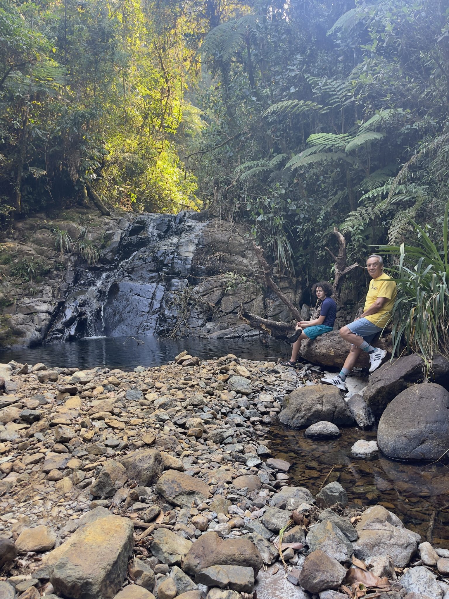 Discover Ranchitos del Quetzal: One of the Best Places to See the ...
