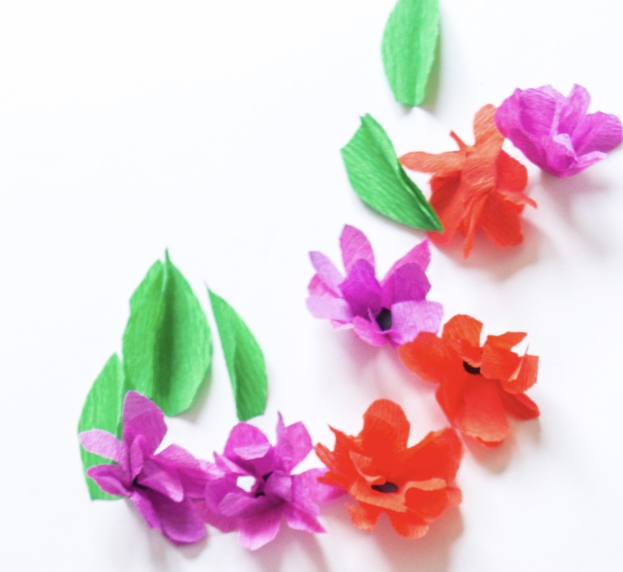 Easy Frida Kahlo Craft: A Fun Hispanic Heritage Craft for Kids