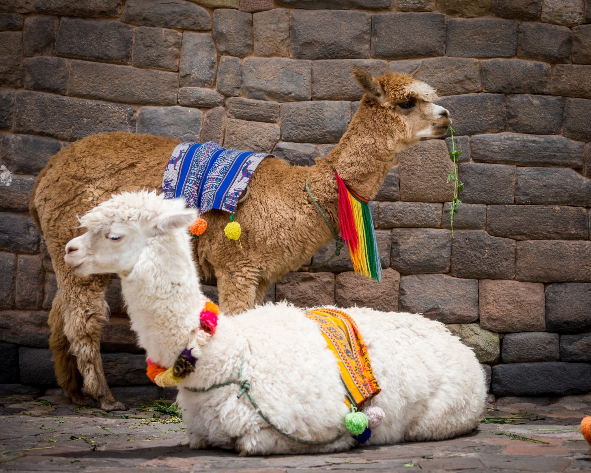 Easy Llama Mini Piñata Craft to Celebrate Hispanic Heritage Month