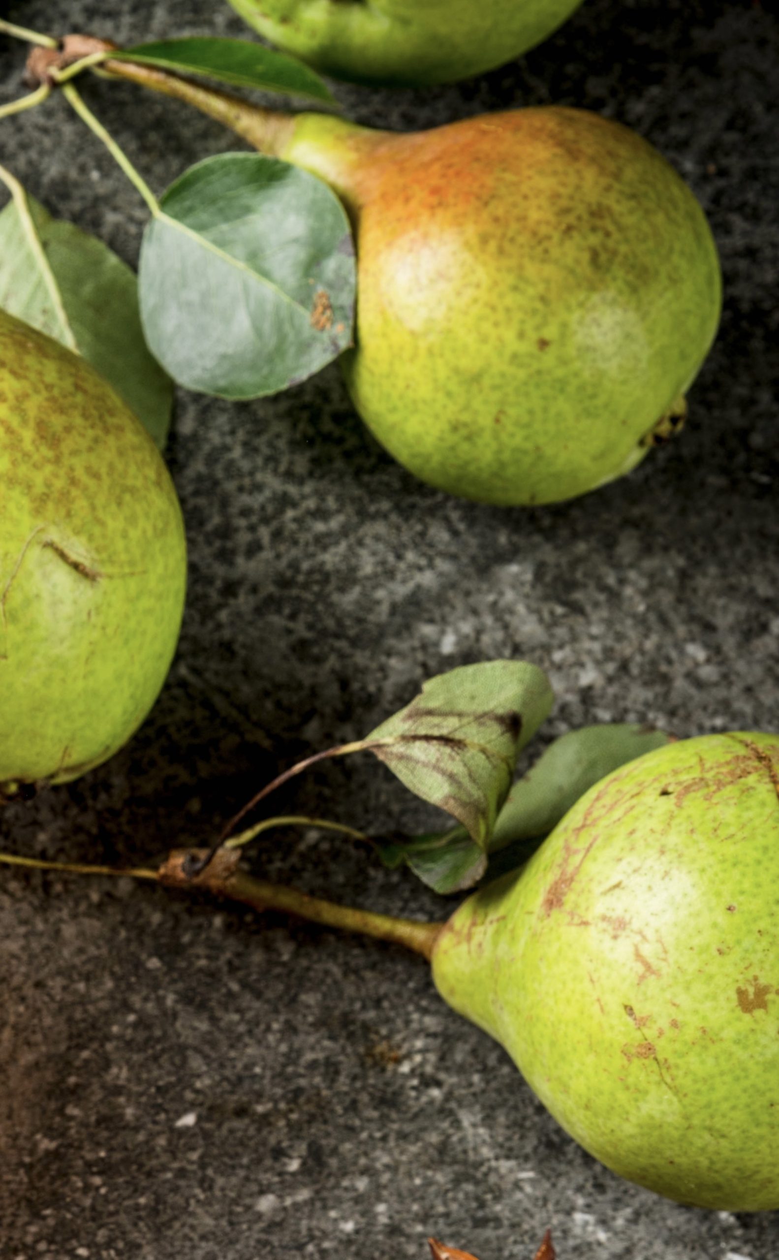 Easy Pear Hard Cider Recipe
